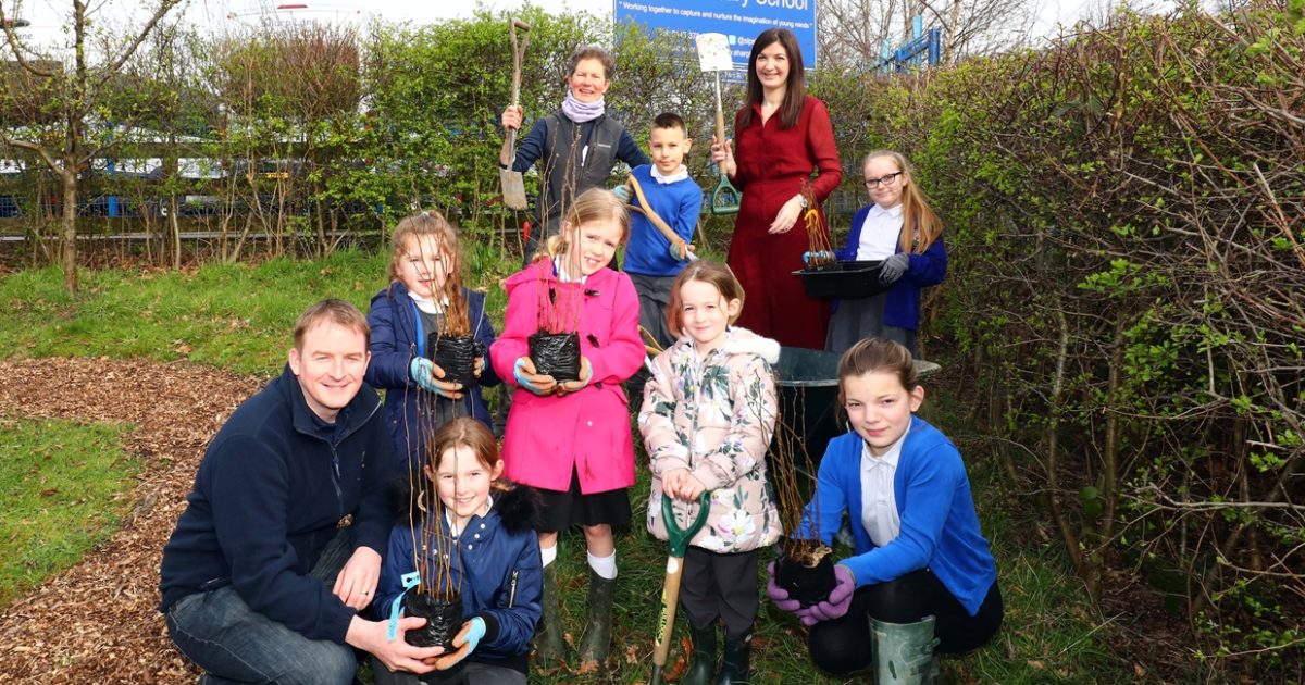 Harrison Spinks plants trees at local school | Furniture News
